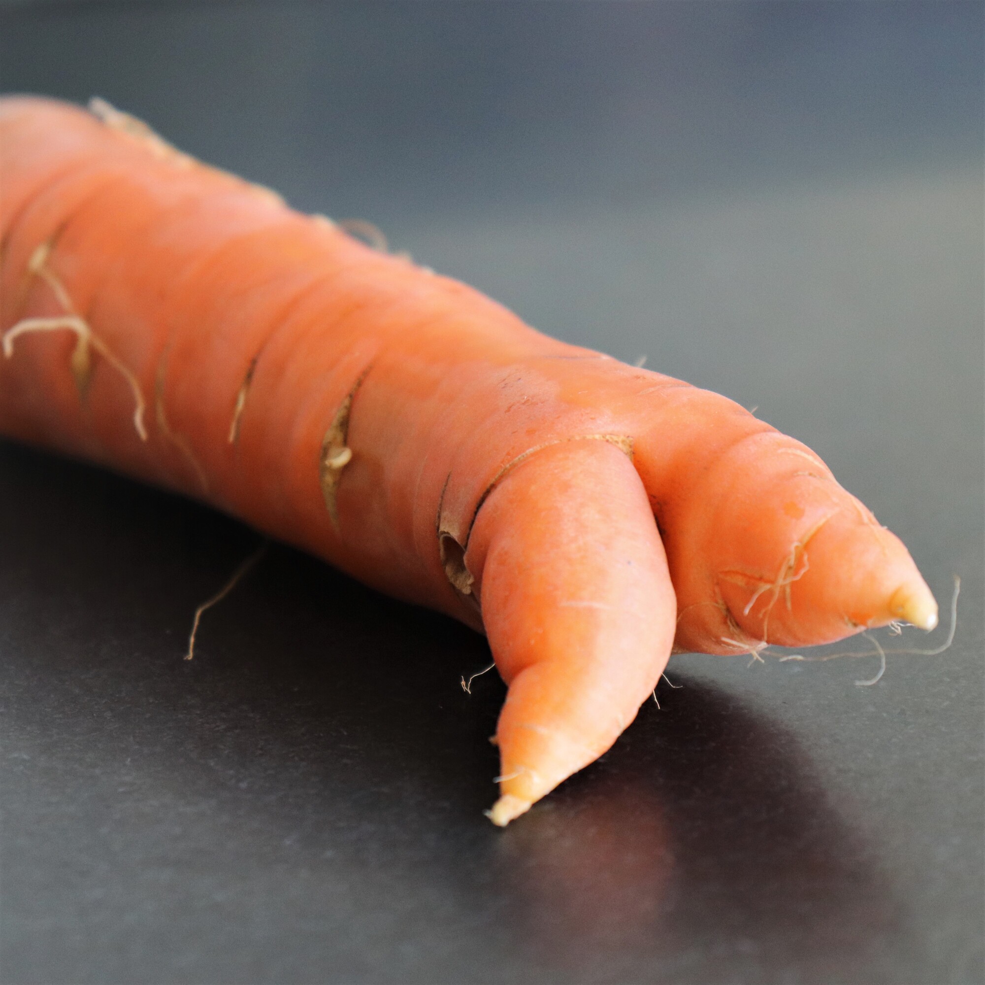 Farmers Market Shopping – Culinary Blueprint
